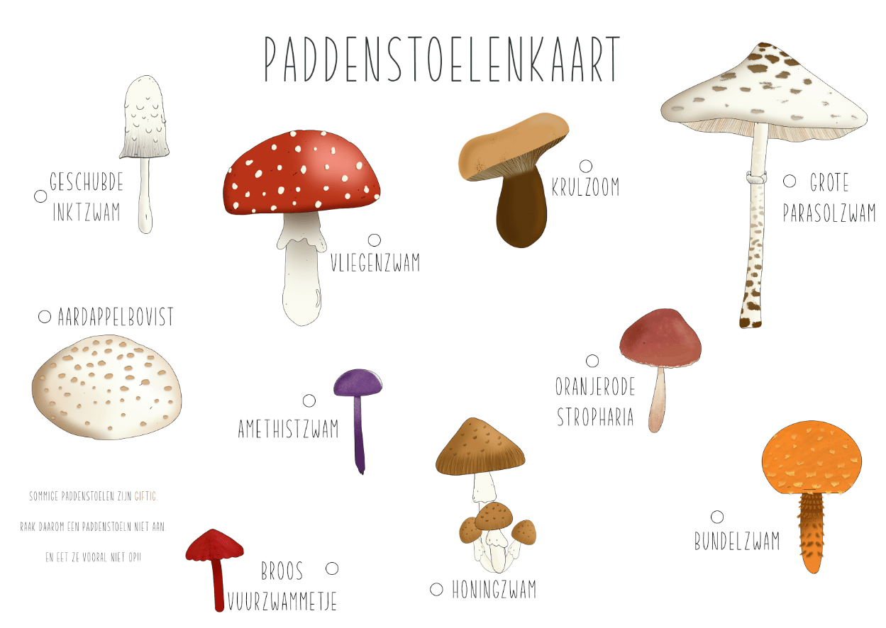 gratis paddenstoelenkaart - paddenstoelen zoeken - Met Zonder Jas